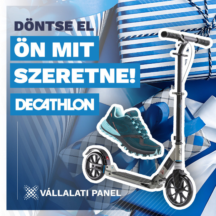 Vállalati Panel
